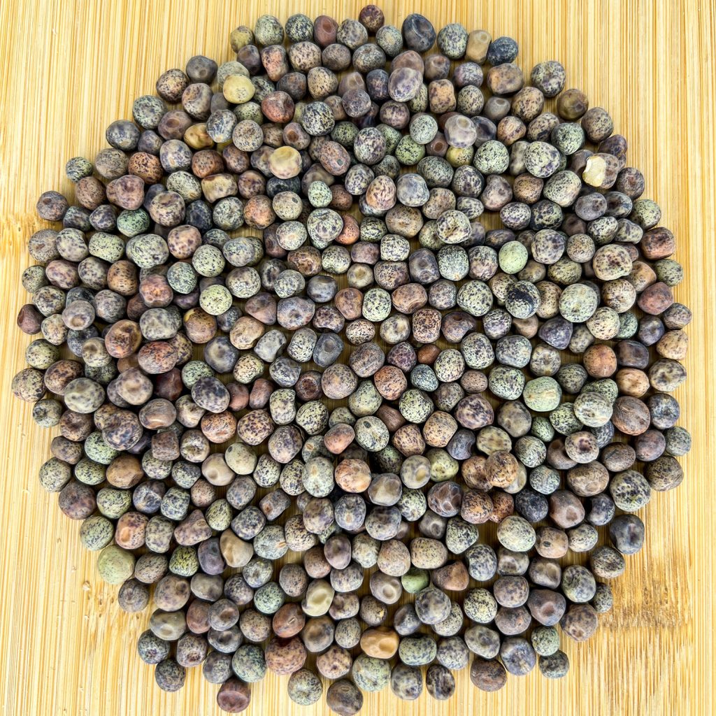 Forage Pea | Canadian Valley Seeds