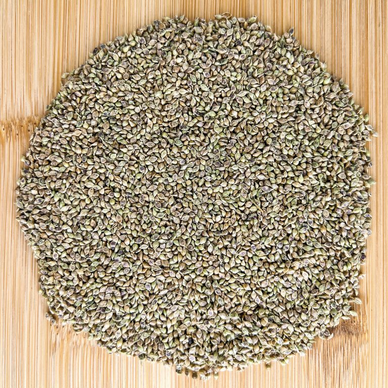 Japanese Millet | Canadian Valley Seeds