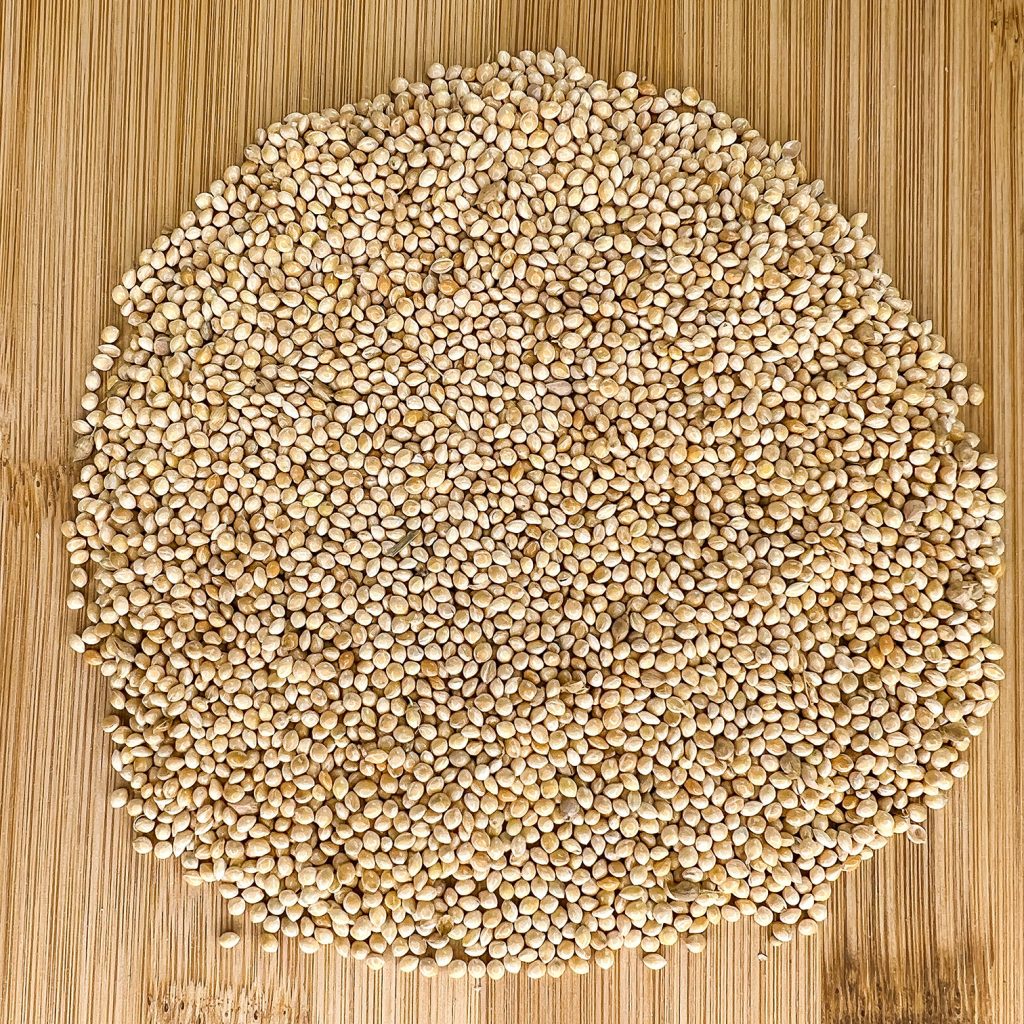 White Proso Millet | Canadian Valley Seeds