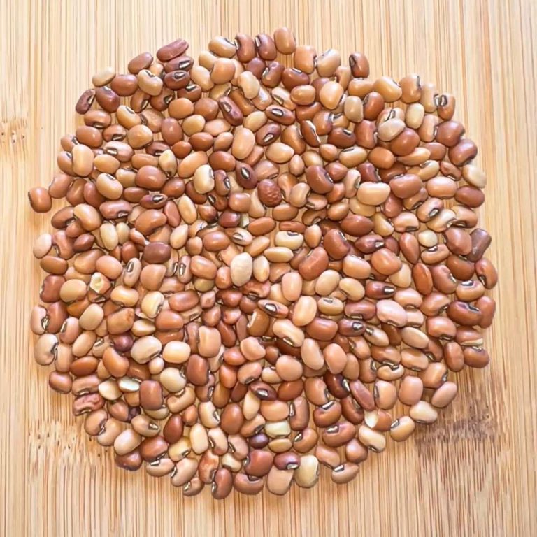 Forage Pea | Canadian Valley Seeds